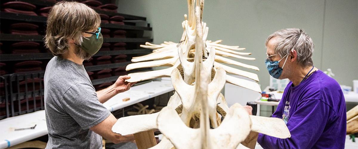 UA System | University of Alaska System