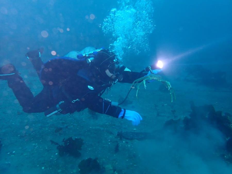 Alaska EPSCoR | Alaska EPSCoR