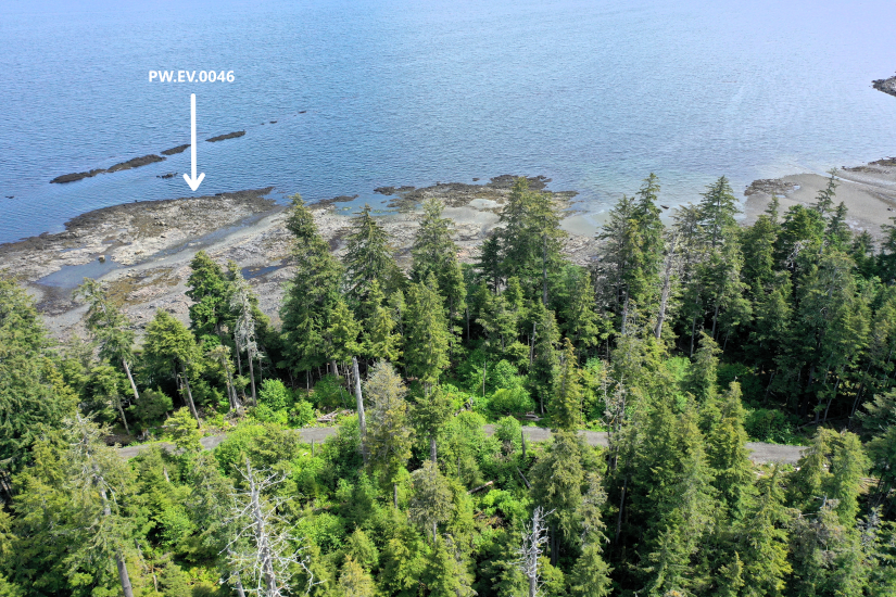 PW.EV.0046 - Etolin View Subdivision, Lot 12, Block 2 | Land Management